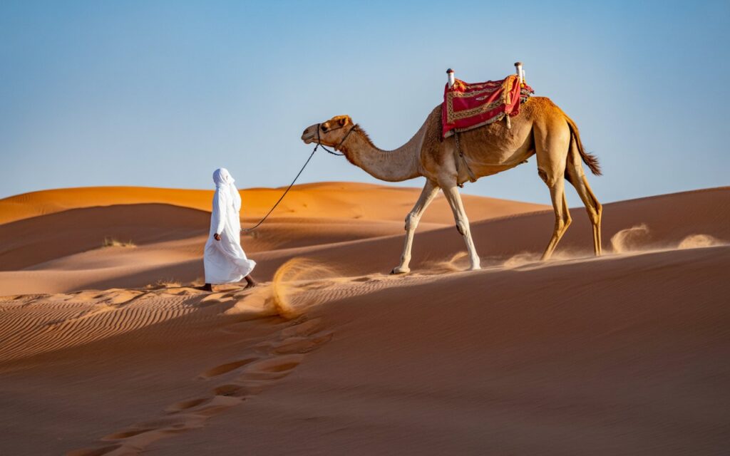 Top 5 Dubai Desert Safari Spots for Thrill & Peace